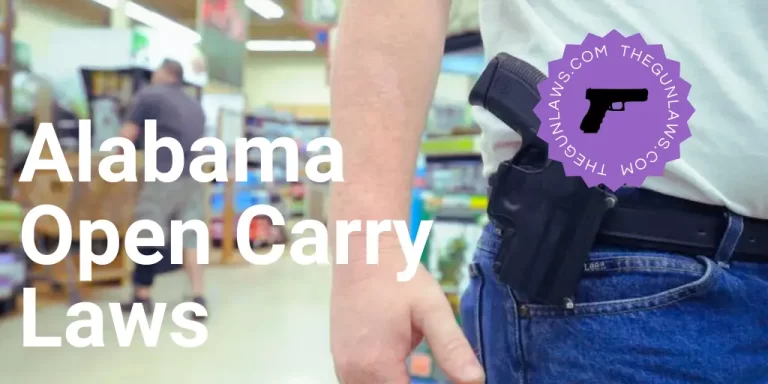 Open Carry - The Gun Laws