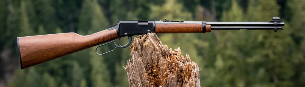 Best 22LR Rifles [2025]: Tested & Reviewed - The Gun Laws
